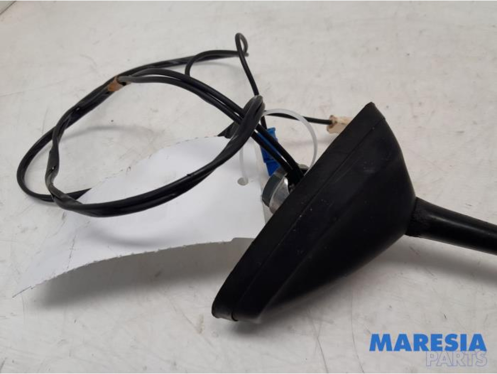 Renault - Scenic - Antenne