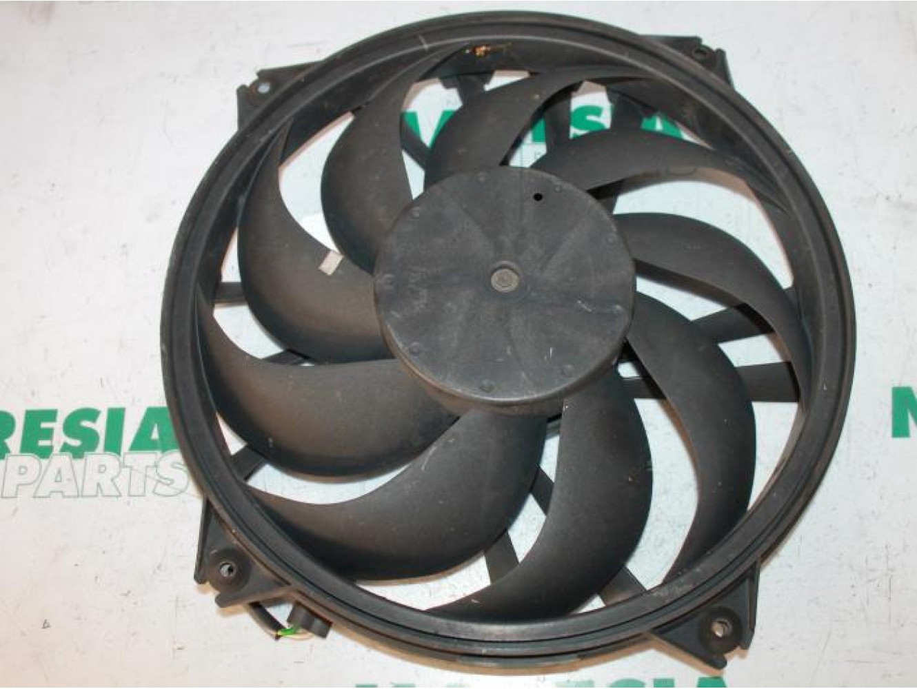 Citroen - Xsara - Koelvin Motor